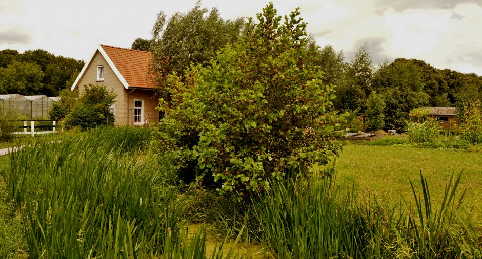 langs de bosrand | ZeelandNet Foto