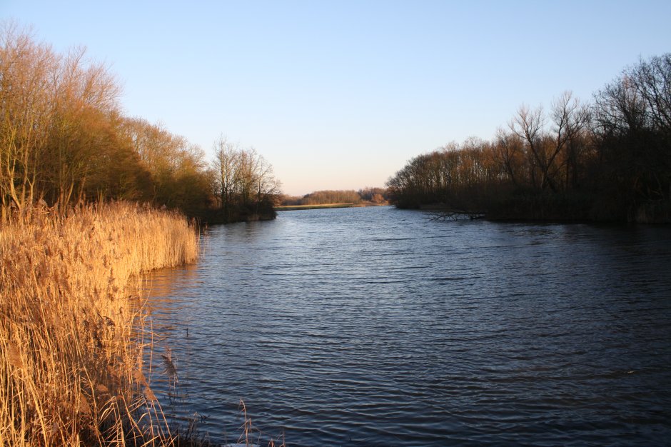 prachtig natuur gezicht | ZeelandNet Foto prachtig natuur gezicht | ZeelandNet Foto