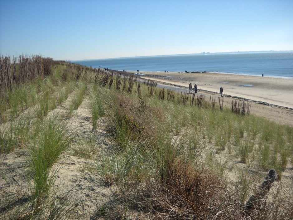 zon zee strand | ZeelandNet Foto