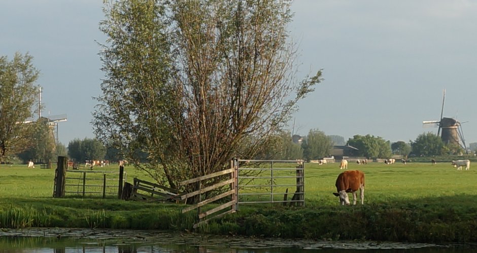 het boeren land | ZeelandNet Foto