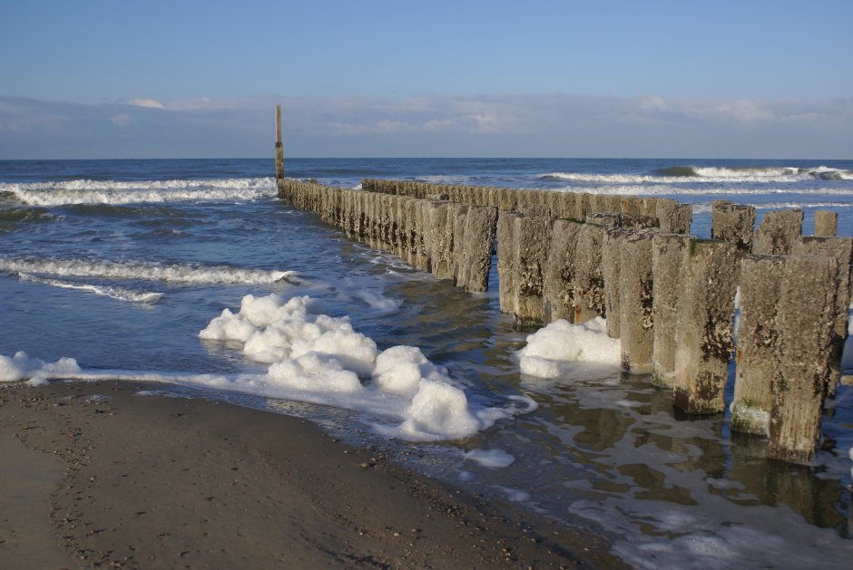 Een Zonnige Middag Zeelandnet Foto