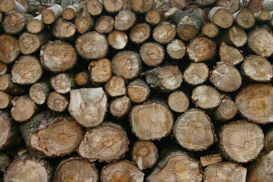 Hout. | ZeelandNet Foto