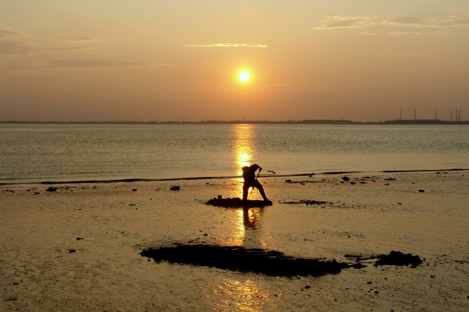 pieren steken | ZeelandNet Foto