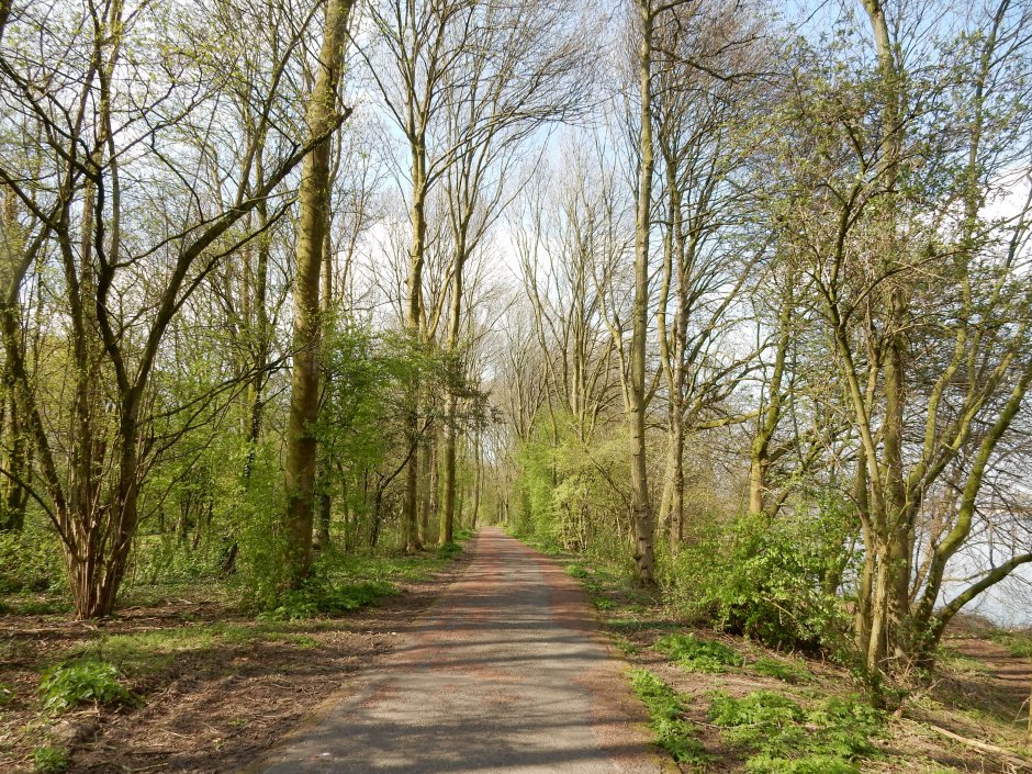 Wandelpad | ZeelandNet Foto