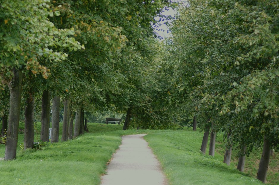 Wandelpad | ZeelandNet Foto