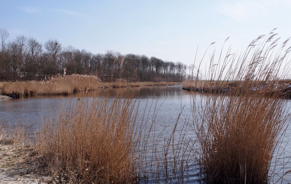 In de polder | ZeelandNet Foto