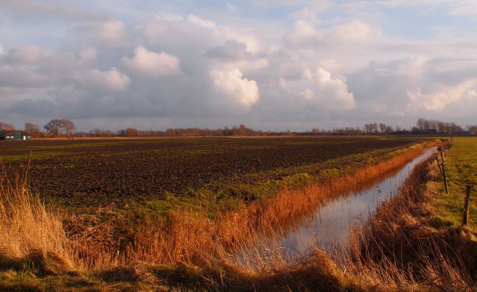 In de polder | ZeelandNet Foto