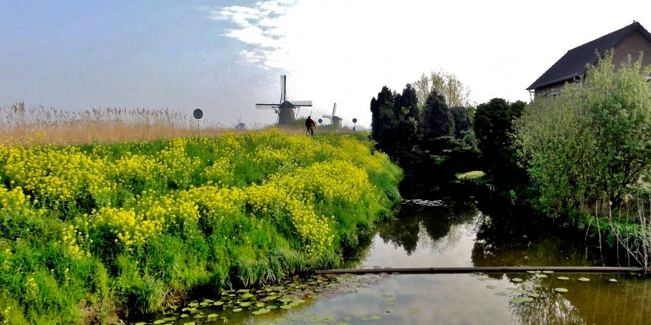 daar bij die molen | ZeelandNet Foto