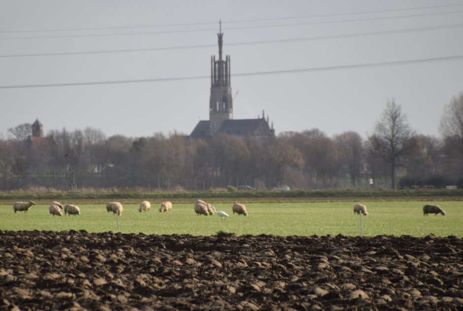Hulst | ZeelandNet Foto