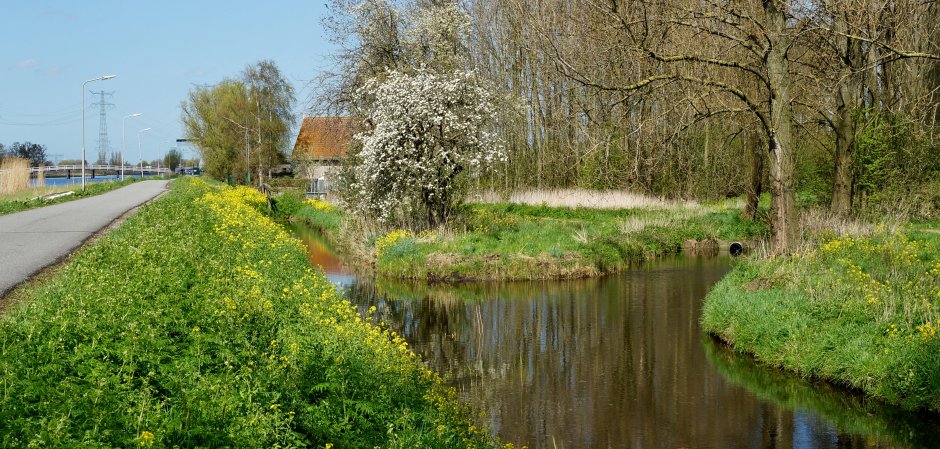 langs de bosrand | ZeelandNet Foto