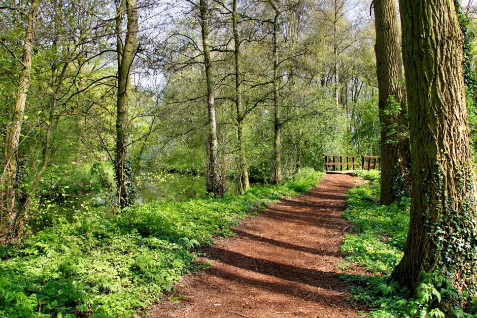 wandelpad in.... | ZeelandNet Foto