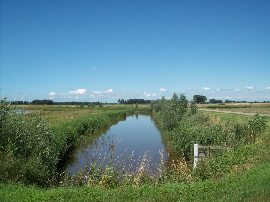 Sloot | ZeelandNet Foto