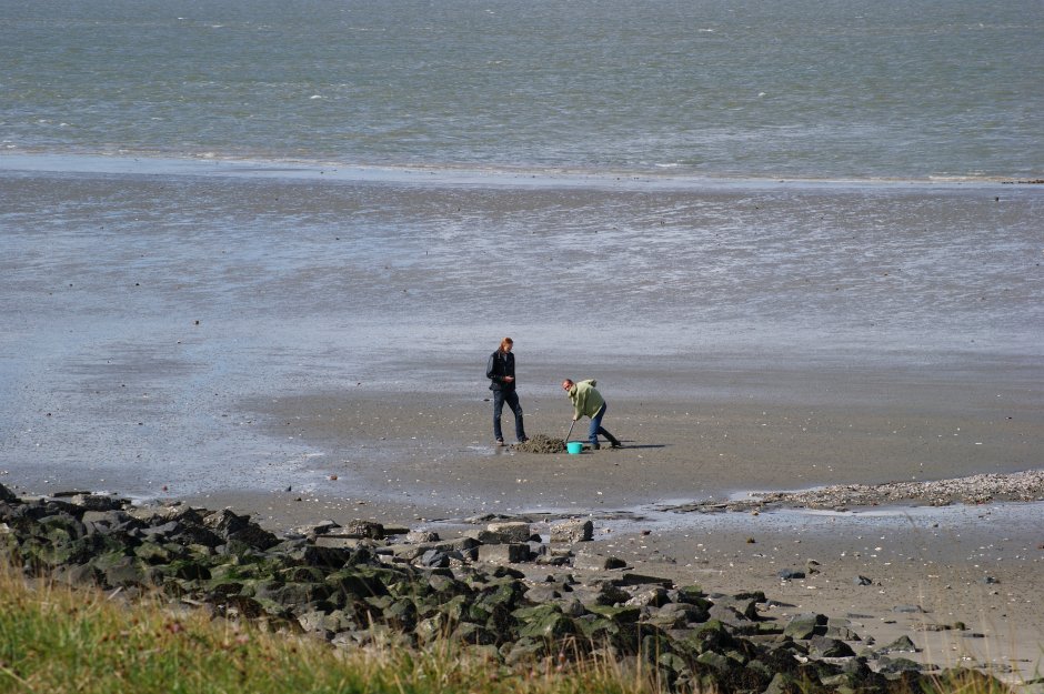 pieren steken | ZeelandNet Foto