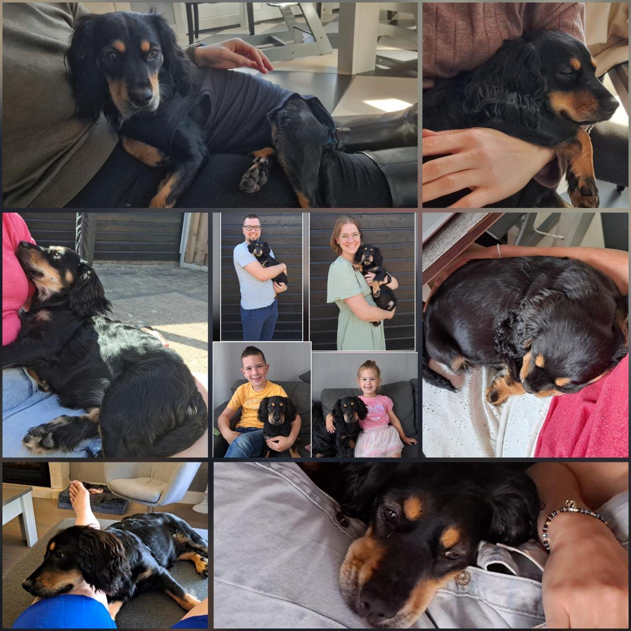 Luna zoekt een nieuw thuis