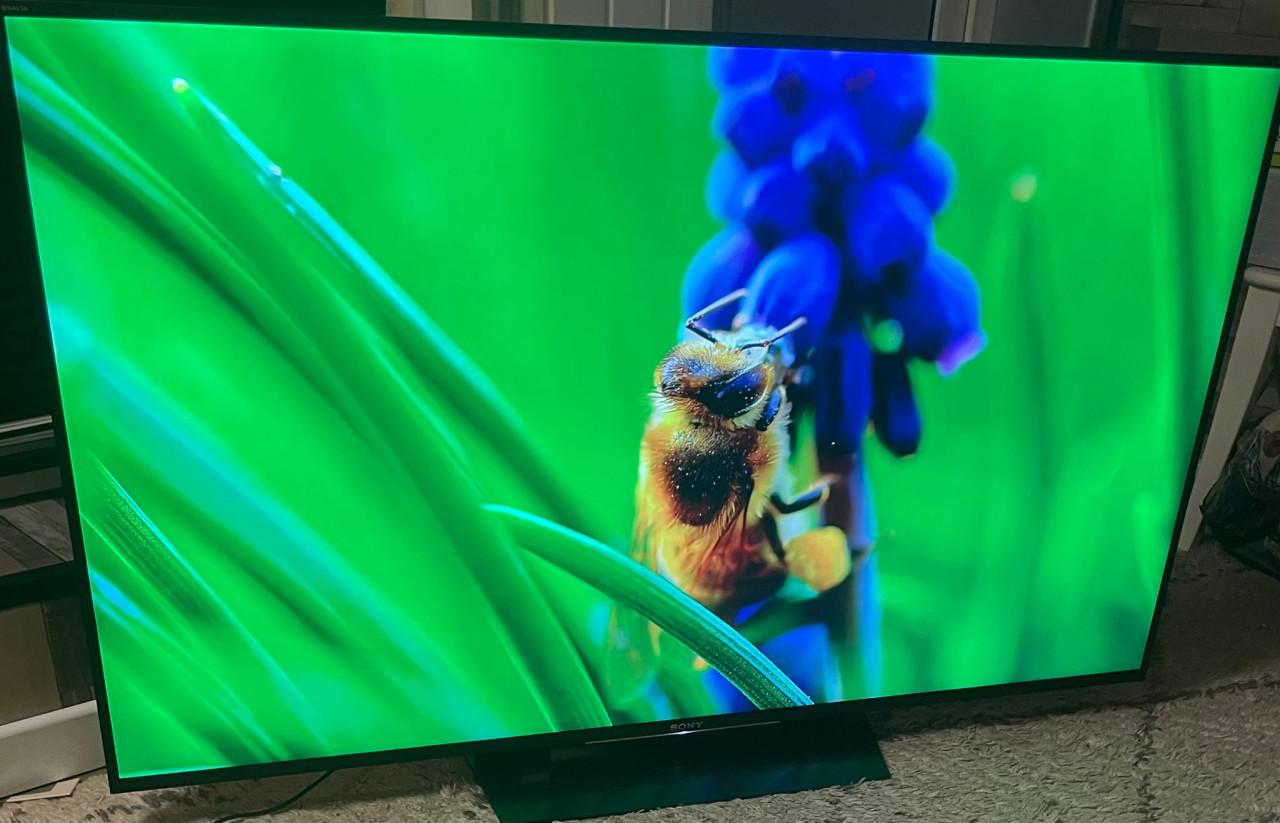 Luxe Mooie Sony Android/Smart 55 Inch 140cm 4K 100Hz