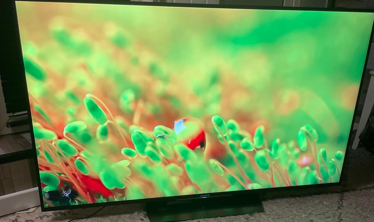 Luxe Mooie Sony Android/Smart 55 Inch 140cm 4K 100Hz