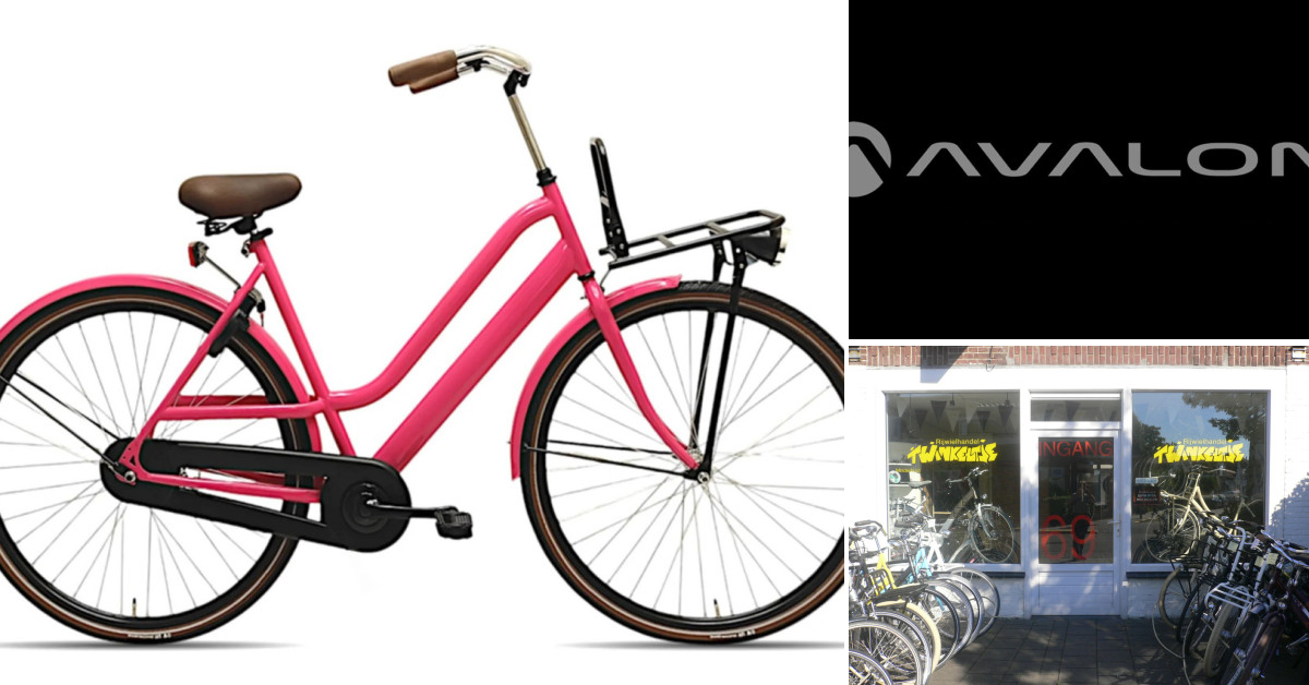 Nieuwe Avalon Transporter 55cm Terugtrapremnaaf 1 versnelling