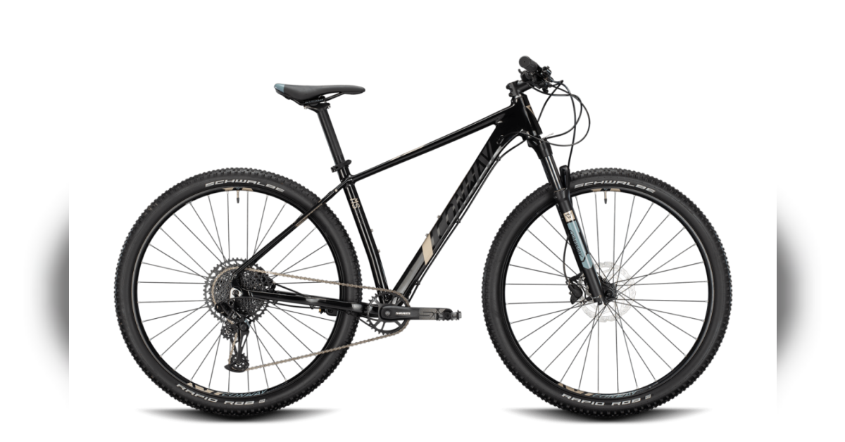 Nieuw binnen Conway MS 929 12 speed Sram en 29 inch wielen