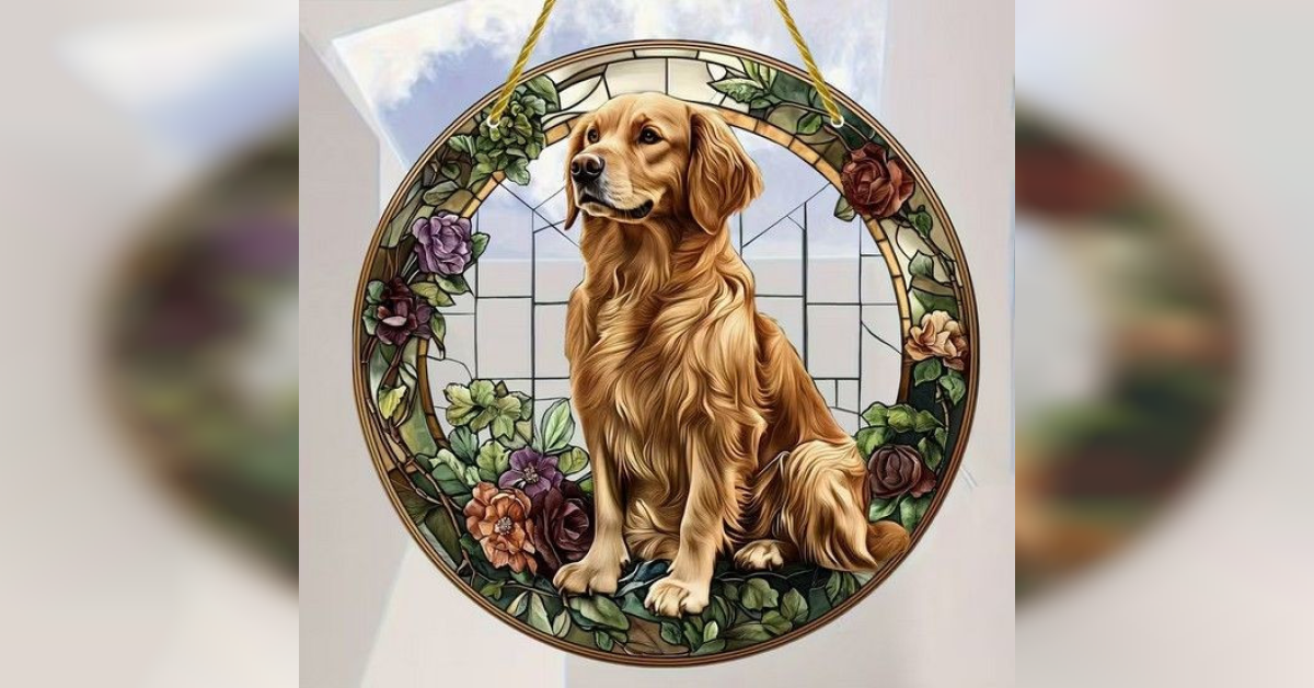 Raamhanger Golden retriever