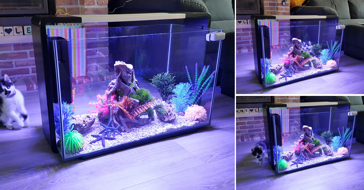 Superfish Home 110 Aquarium Black Inclusief Alle Toebehoren Te Koop