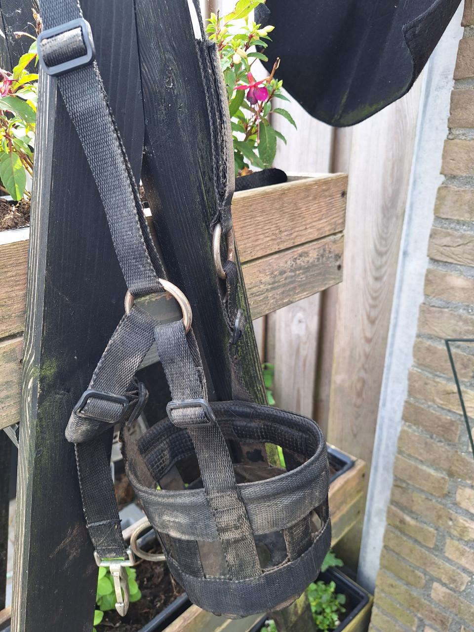 Grasmasker pony