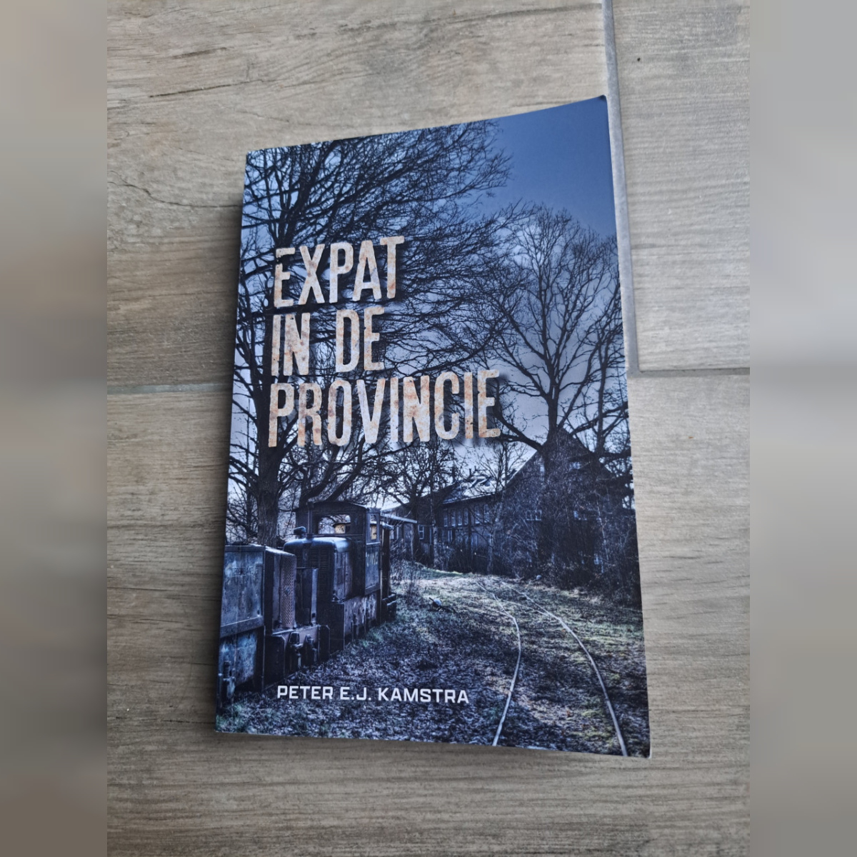 Psychologische roman Expat in de provincie van Peter E.J Kamstra zgan.